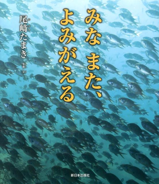 ◆◆◆おおむね良好な状態です。中古商品のため使用感等ある場合がございますが、品質には十分注意して発送いたします。 【毎日発送】 商品状態 著者名 尾崎たまき 出版社名 新日本出版社 発売日 2013年08月 ISBN 9784406057110