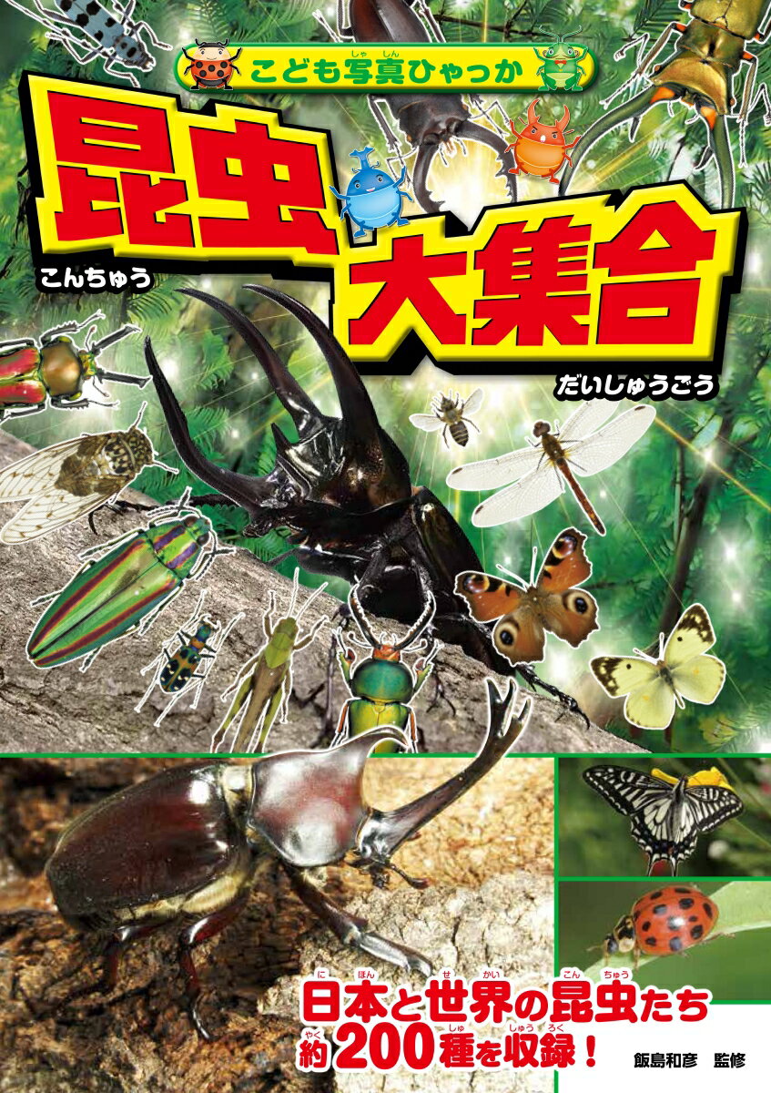 ◆◆◆カバーがありません。中古ですので多少の使用感がありますが、品質には十分に注意して販売しております。迅速・丁寧な発送を心がけております。【毎日発送】 商品状態 著者名 飯島和彦 出版社名 永岡書店 発売日 2017年06月10日 ISB...