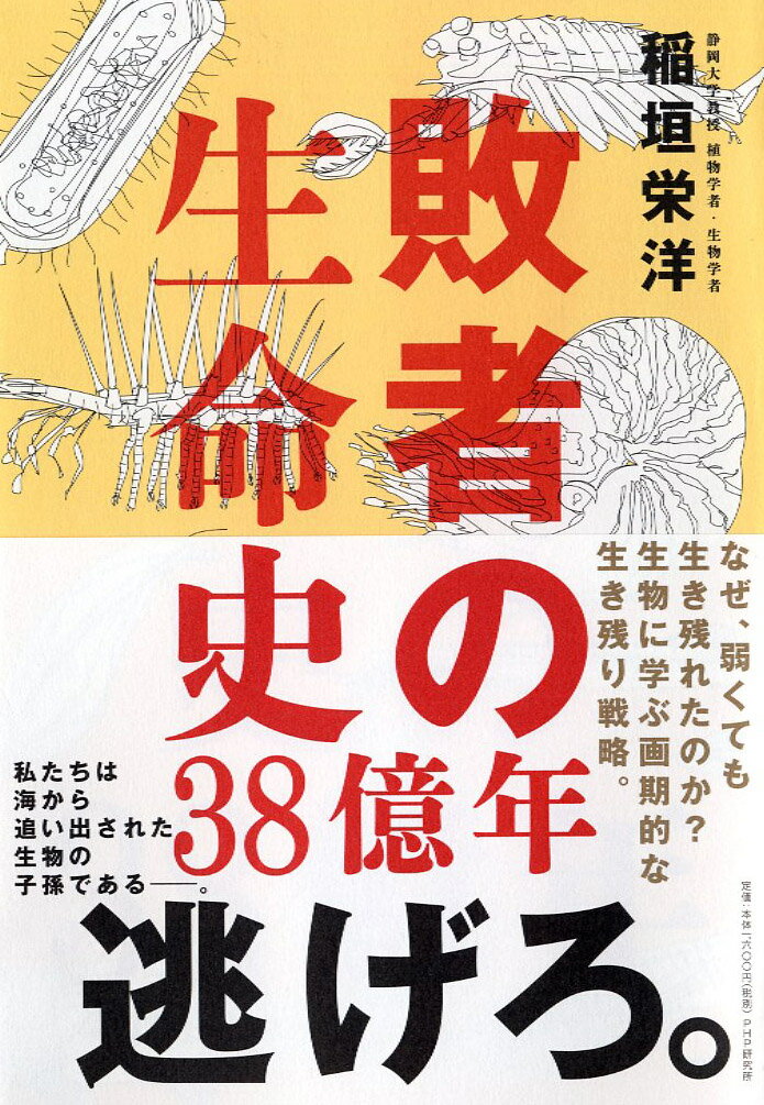 ◆◆◆おおむね良好な状態です。中古商品のため使用感等ある場合がございますが、品質には十分注意して発送いたします。 【毎日発送】 商品状態 著者名 稲垣栄洋 出版社名 PHPエディタ−ズ・グル−プ 発売日 2019年03月19日 ISBN 9...