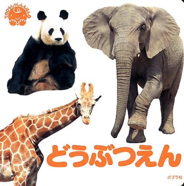 ◆◆◆おおむね良好な状態です。中古商品のため使用感等ある場合がございますが、品質には十分注意して発送いたします。 【毎日発送】 商品状態 著者名 内山晟 出版社名 ポプラ社 発売日 2012年03月 ISBN 9784591128534
