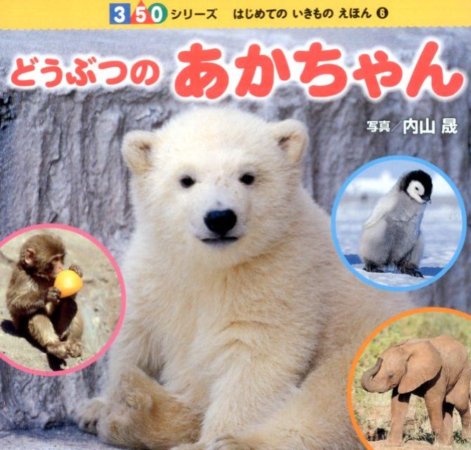 ◆◆◆おおむね良好な状態です。中古商品のため使用感等ある場合がございますが、品質には十分注意して発送いたします。 【毎日発送】 商品状態 著者名 内山晟 出版社名 ポプラ社 発売日 2015年03月 ISBN 9784591144305
