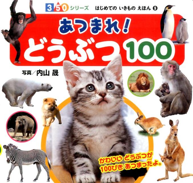 ◆◆◆カバーがありません。中古ですので多少の使用感がありますが、品質には十分に注意して販売しております。迅速・丁寧な発送を心がけております。【毎日発送】 商品状態 著者名 内山晟 出版社名 ポプラ社 発売日 2016年01月 ISBN 97...