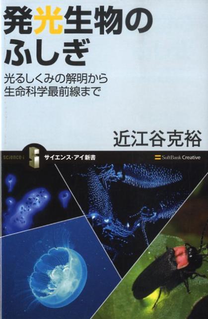 ◆◆◆小口に汚れ、傷みがあります。中古ですので多少の使用感がありますが、品質には十分に注意して販売しております。迅速・丁寧な発送を心がけております。【毎日発送】 商品状態 著者名 近江谷克裕 出版社名 SBクリエイティブ 発売日 2009年...