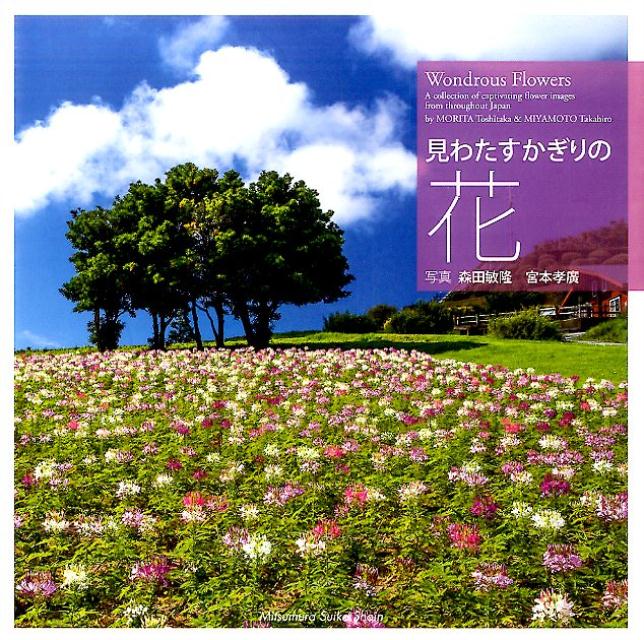 ◆◆◆非常にきれいな状態です。中古商品のため使用感等ある場合がございますが、品質には十分注意して発送いたします。 【毎日発送】 商品状態 著者名 森田敏隆、宮本孝廣 出版社名 光村推古書院 発売日 2016年04月27日 ISBN 9784...