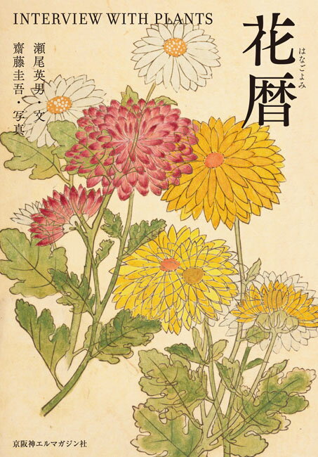 ◆◆◆非常にきれいな状態です。中古商品のため使用感等ある場合がございますが、品質には十分注意して発送いたします。 【毎日発送】 商品状態 著者名 瀬尾英男、齋藤圭吾 出版社名 京阪神エルマガジン社 発売日 2018年02月01日 ISBN ...