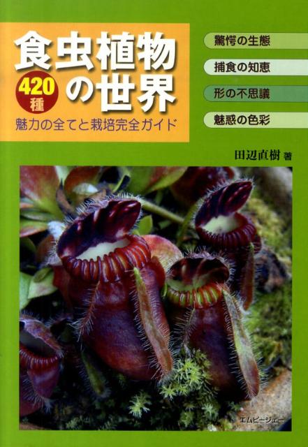 ◆◆◆小口に汚れがあります。中古ですので多少の使用感がありますが、品質には十分に注意して販売しております。迅速・丁寧な発送を心がけております。【毎日発送】 商品状態 著者名 田辺直樹 出版社名 エムピ−ジェ− 発売日 2010年06月 IS...
