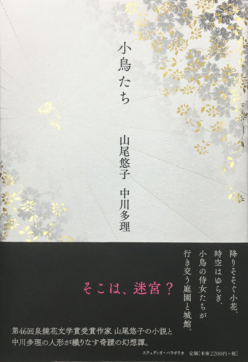 ◆◆◆非常にきれいな状態です。中古商品のため使用感等ある場合がございますが、品質には十分注意して発送いたします。 【毎日発送】 商品状態 著者名 山尾悠子、中川多理 出版社名 ステュディオ・パラボリカ 発売日 2019年07月29日 ISB...