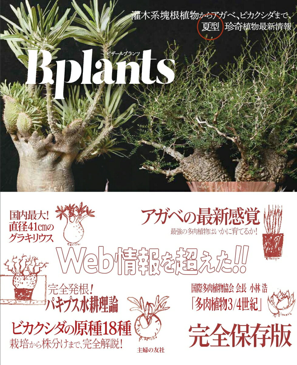 ◆◆◆おおむね良好な状態です。中古商品のため使用感等ある場合がございますが、品質には十分注意して発送いたします。 【毎日発送】 商品状態 著者名 主婦の友社 出版社名 主婦の友社 発売日 2019年08月31日 ISBN 978407438...