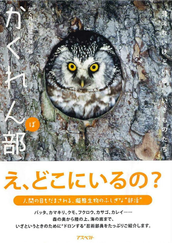 ◆◆◆おおむね良好な状態です。中古商品のため使用感等ある場合がございますが、品質には十分注意して発送いたします。 【毎日発送】 商品状態 著者名 かくれん部探検隊 出版社名 アスペクト 発売日 2014年01月 ISBN 978475722...