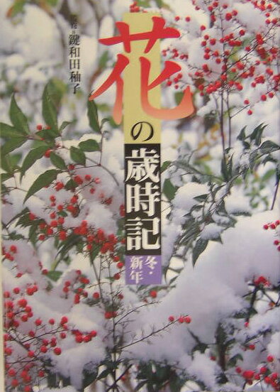◆◆◆おおむね良好な状態です。中古商品のため使用感等ある場合がございますが、品質には十分注意して発送いたします。 【毎日発送】 商品状態 著者名 鍵和田ゆう子 出版社名 講談社 発売日 2004年11月30日 ISBN 9784062502344