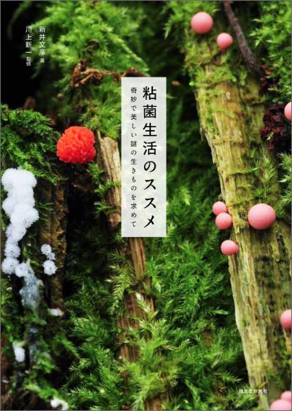 ◆◆◆非常にきれいな状態です。中古商品のため使用感等ある場合がございますが、品質には十分注意して発送いたします。 【毎日発送】 商品状態 著者名 新井文彦、川上新一 出版社名 誠文堂新光社 発売日 2016年05月 ISBN 9784416...