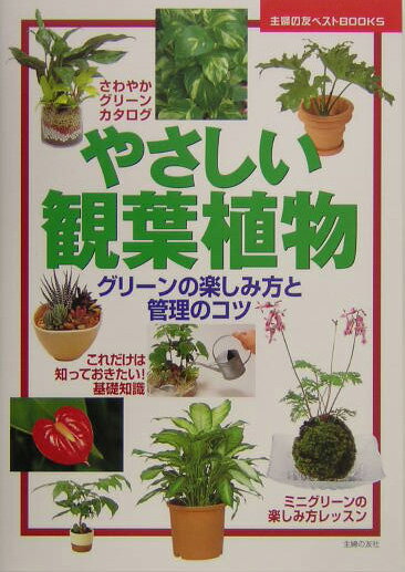 ◆◆◆非常にきれいな状態です。中古商品のため使用感等ある場合がございますが、品質には十分注意して発送いたします。 【毎日発送】 商品状態 著者名 主婦の友社 出版社名 主婦の友社 発売日 2004年07月 ISBN 9784072440803