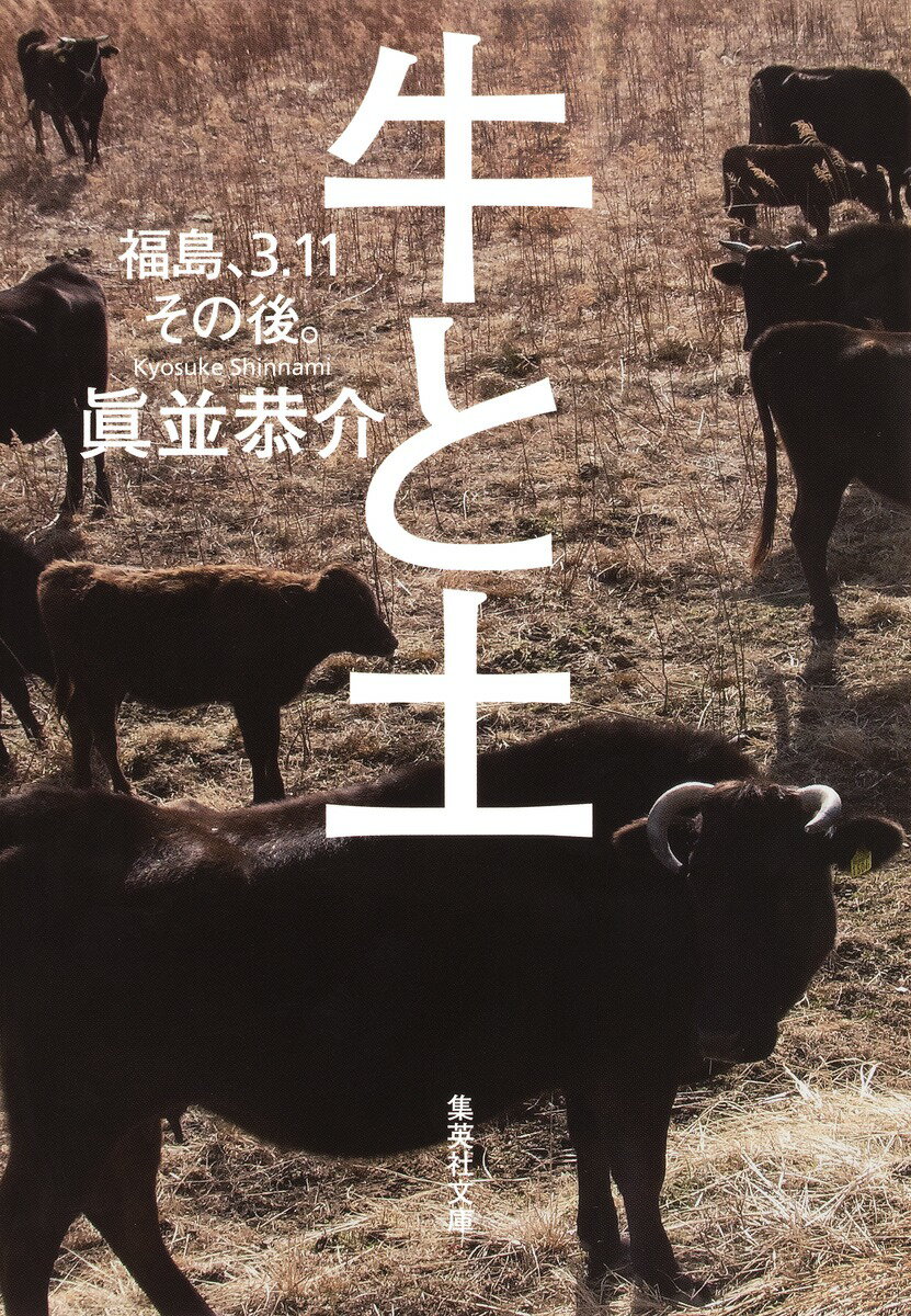 ◆◆◆非常にきれいな状態です。中古商品のため使用感等ある場合がございますが、品質には十分注意して発送いたします。 【毎日発送】 商品状態 著者名 眞並恭介 出版社名 集英社 発売日 2018年02月25日 ISBN 9784087457070