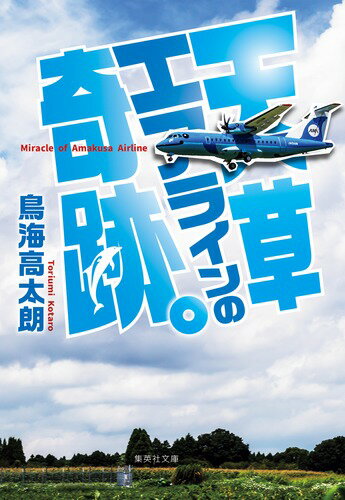 ◆◆◆非常にきれいな状態です。中古商品のため使用感等ある場合がございますが、品質には十分注意して発送いたします。 【毎日発送】 商品状態 著者名 鳥海高太朗 出版社名 集英社 発売日 2019年04月25日 ISBN 9784087458688
