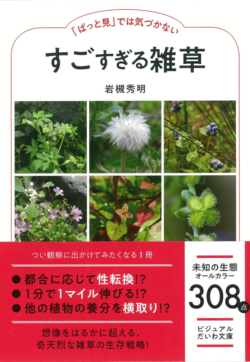 ◆◆◆非常にきれいな状態です。中古商品のため使用感等ある場合がございますが、品質には十分注意して発送いたします。 【毎日発送】 商品状態 著者名 岩槻秀明 出版社名 大和書房 発売日 2019年05月15日 ISBN 9784479307624