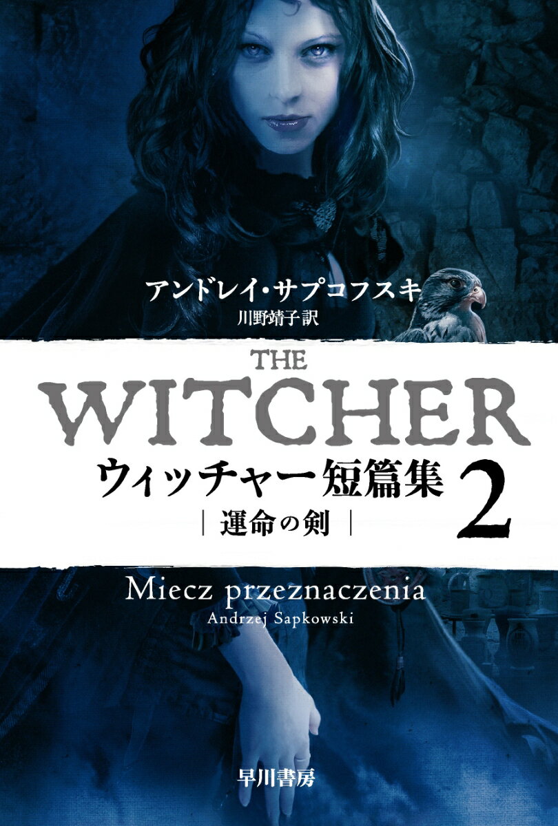 ◆◆◆非常にきれいな状態です。中古商品のため使用感等ある場合がございますが、品質には十分注意して発送いたします。 【毎日発送】 商品状態 著者名 アンドレイ・サプコフスキ、川野靖子 出版社名 早川書房 発売日 2022年03月25日 ISB...