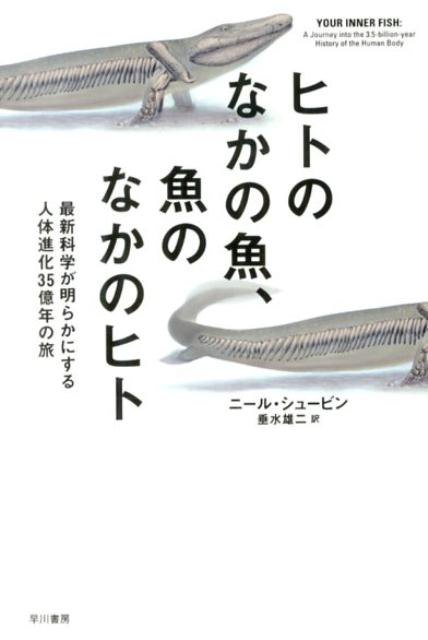 ◆◆◆非常にきれいな状態です。中古商品のため使用感等ある場合がございますが、品質には十分注意して発送いたします。 【毎日発送】 商品状態 著者名 ニール・シュービン、垂水雄二 出版社名 早川書房 発売日 2013年10月15日 ISBN 9...