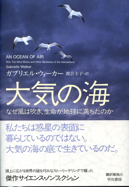 ◆◆◆非常にきれいな状態です。中古商品のため使用感等ある場合がございますが、品質には十分注意して発送いたします。 【毎日発送】 商品状態 著者名 ガブリエル・ウォ−カ−、渡会圭子 出版社名 早川書房 発売日 2008年01月25日 ISBN...