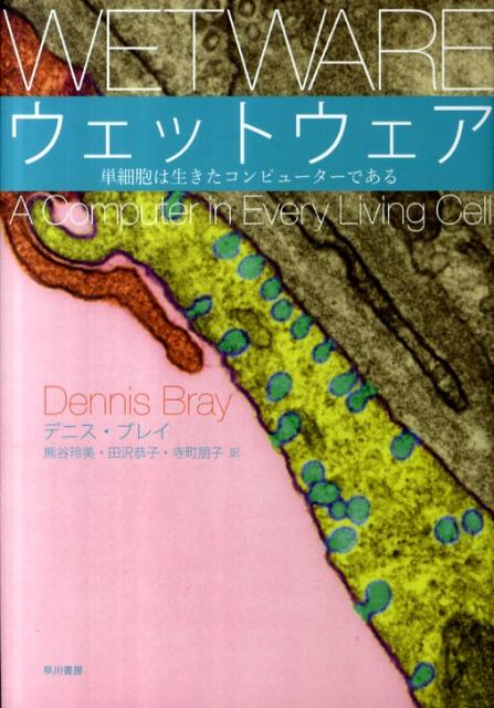 ◆◆◆非常にきれいな状態です。中古商品のため使用感等ある場合がございますが、品質には十分注意して発送いたします。 【毎日発送】 商品状態 著者名 デニス・ブレイ、熊谷玲美 出版社名 早川書房 発売日 2011年08月25日 ISBN 978...