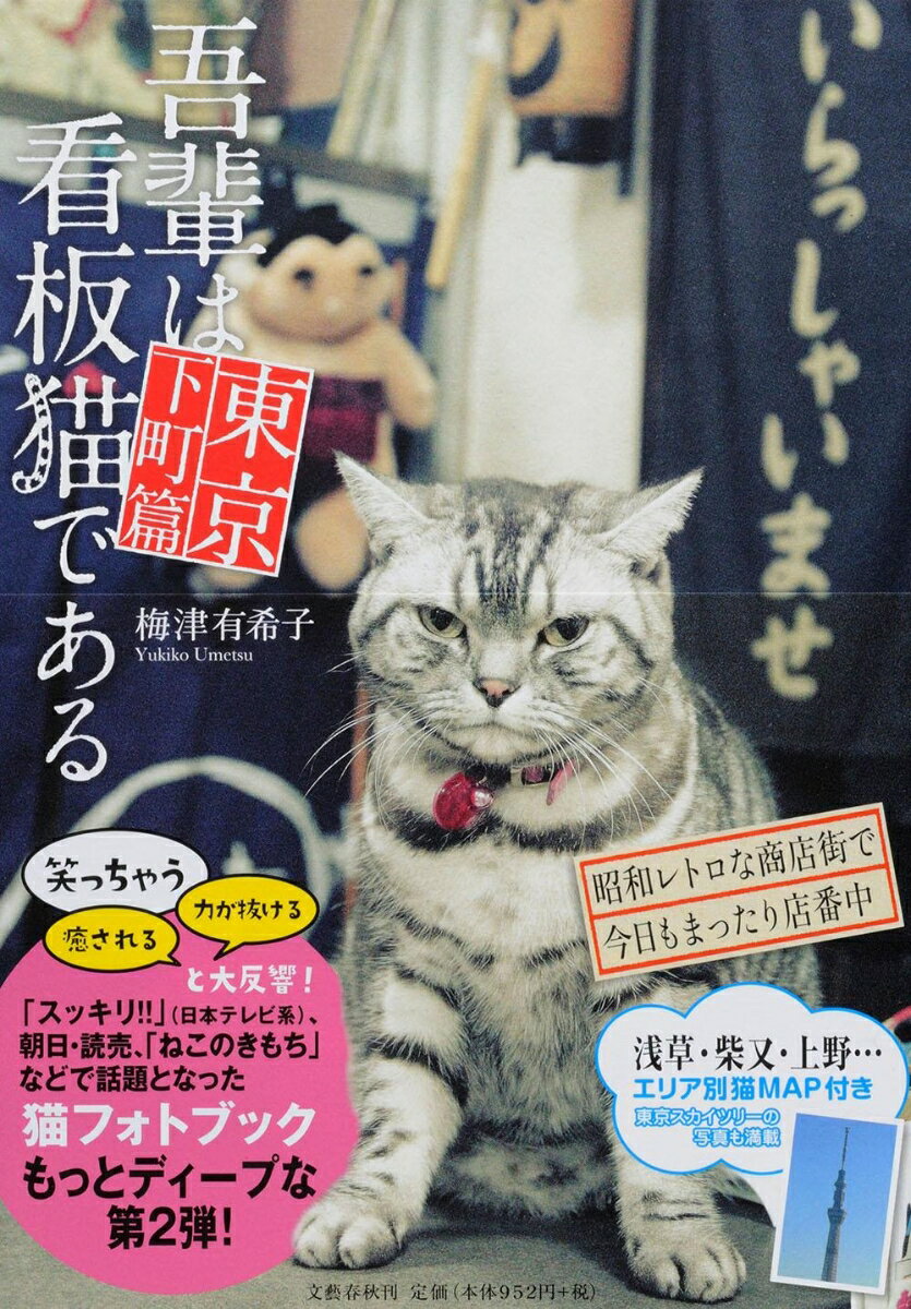 ◆◆◆非常にきれいな状態です。中古商品のため使用感等ある場合がございますが、品質には十分注意して発送いたします。 【毎日発送】 商品状態 著者名 梅津有希子 出版社名 文藝春秋 発売日 2012年04月25日 ISBN 9784163751702