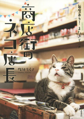 ◆◆◆おおむね良好な状態です。中古商品のため使用感等ある場合がございますが、品質には十分注意して発送いたします。 【毎日発送】 商品状態 著者名 梅津有希子 出版社名 文藝春秋 発売日 2014年11月15日 ISBN 9784163901404