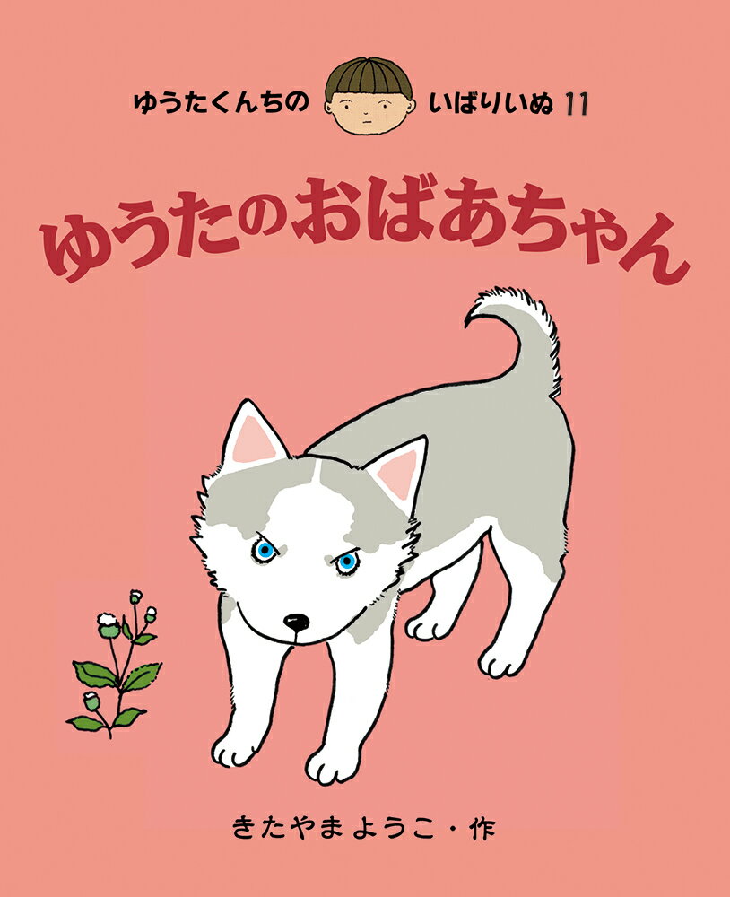 ◆◆◆カバーがありません。中古ですので多少の使用感がありますが、品質には十分に注意して販売しております。迅速・丁寧な発送を心がけております。【毎日発送】 商品状態 著者名 きたやまようこ 出版社名 あかね書房 発売日 2018年11月11日...
