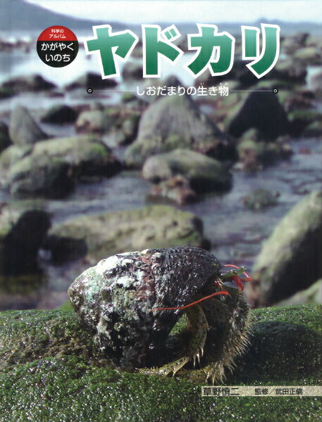 ◆◆◆非常にきれいな状態です。中古商品のため使用感等ある場合がございますが、品質には十分注意して発送いたします。 【毎日発送】 商品状態 著者名 草野慎二、武田正倫 出版社名 あかね書房 発売日 2011年03月 ISBN 97842510...
