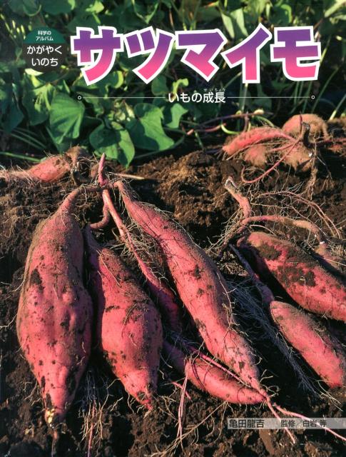 ◆◆◆おおむね良好な状態です。中古商品のため使用感等ある場合がございますが、品質には十分注意して発送いたします。 【毎日発送】 商品状態 著者名 亀田竜吉、白岩等 出版社名 あかね書房 発売日 2013年03月 ISBN 978425106...