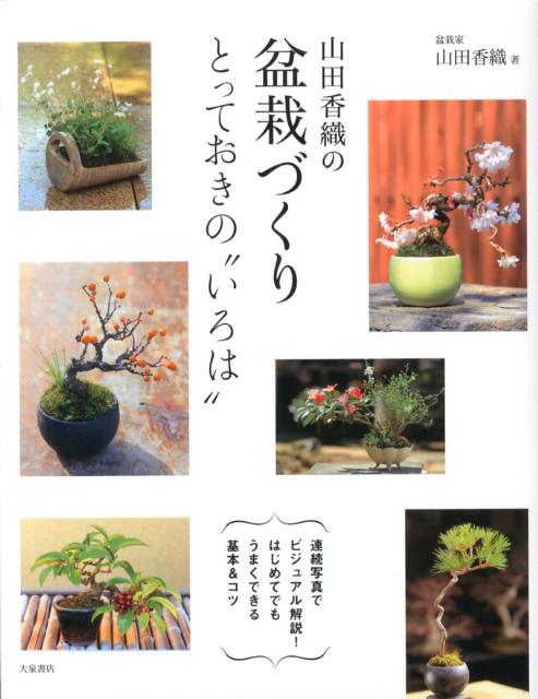 ◆◆◆角折れがあります。カバーに汚れがあります。中古ですので多少の使用感がありますが、品質には十分に注意して販売しております。迅速・丁寧な発送を心がけております。【毎日発送】 商品状態 著者名 山田香織 出版社名 大泉書店 発売日 2013...