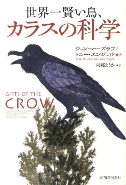 ◆◆◆カバーがありません。中古ですので多少の使用感がありますが、品質には十分に注意して販売しております。迅速・丁寧な発送を心がけております。【毎日発送】 商品状態 著者名 ジョン・マ−ズラフ、トニ−・エンジェル 出版社名 河出書房新社 発売...