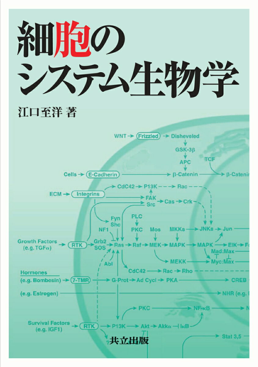 ◆◆◆非常にきれいな状態です。中古商品のため使用感等ある場合がございますが、品質には十分注意して発送いたします。 【毎日発送】 商品状態 著者名 江口至洋 出版社名 共立出版 発売日 2008年06月 ISBN 9784320056695