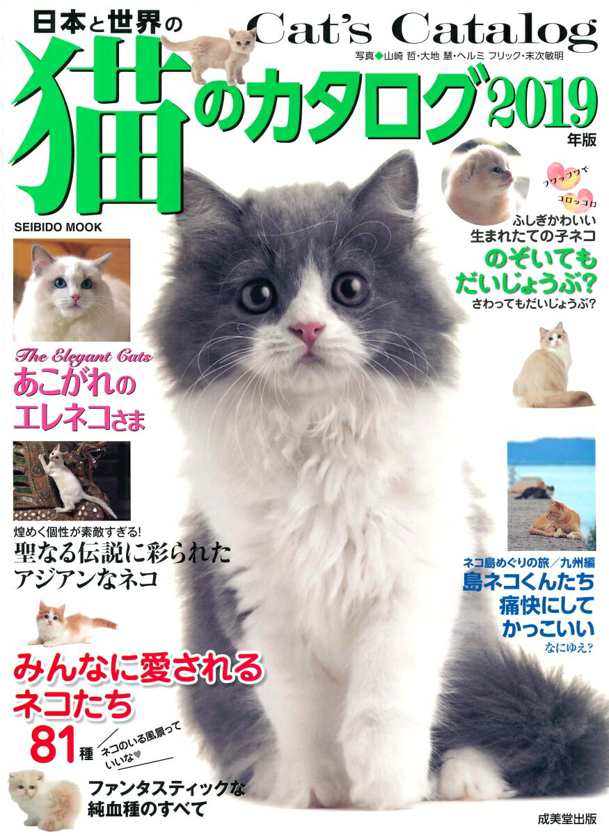 ◆◆◆おおむね良好な状態です。中古商品のため使用感等ある場合がございますが、品質には十分注意して発送いたします。 【毎日発送】 商品状態 著者名 編集:成美堂出版編集部 出版社名 成美堂出版 発売日 2018年10月04日 ISBN 978...