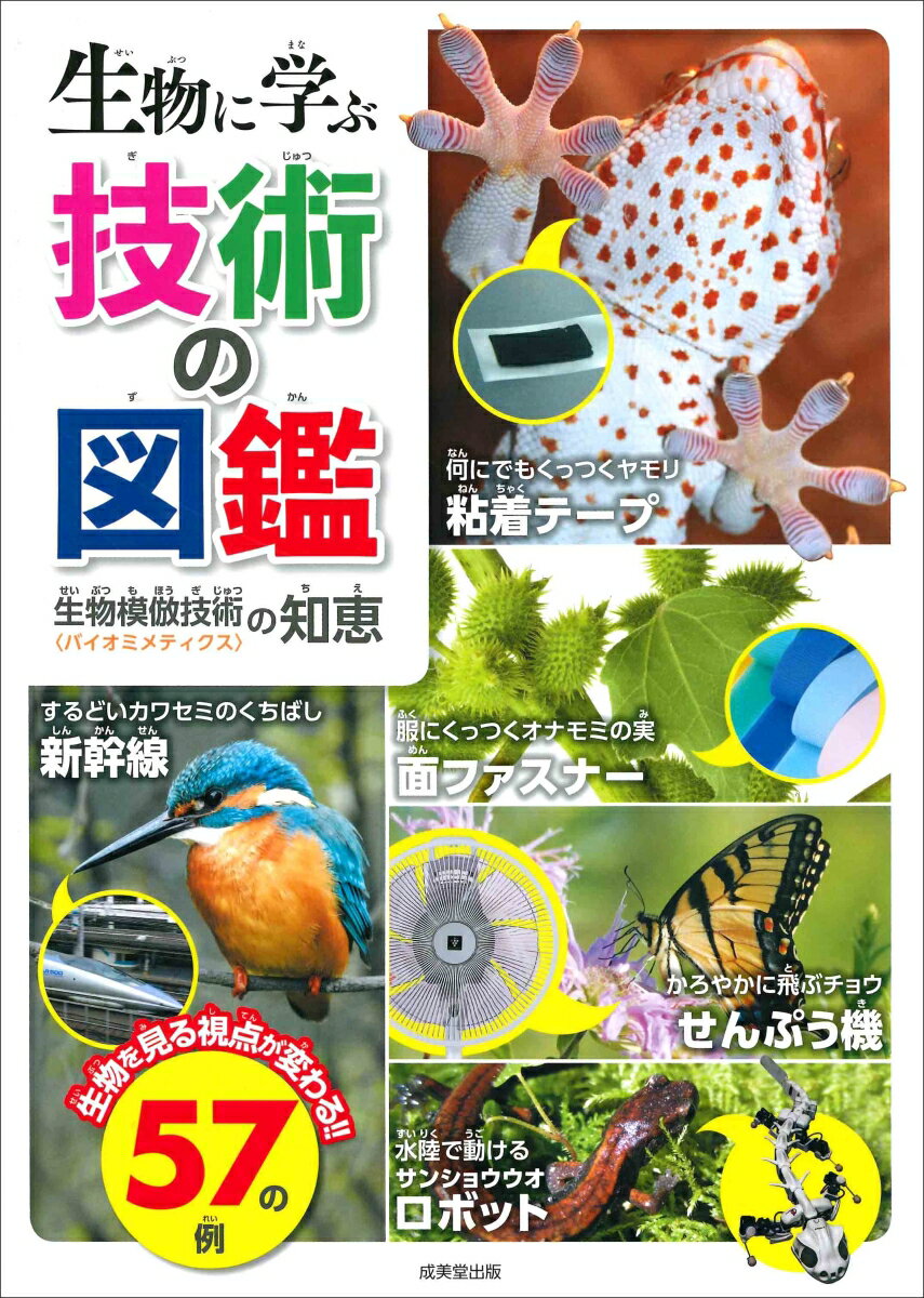 ◆◆◆非常にきれいな状態です。中古商品のため使用感等ある場合がございますが、品質には十分注意して発送いたします。 【毎日発送】 商品状態 著者名 成美堂出版編集部 出版社名 成美堂出版 発売日 2018年12月20日 ISBN 978441...