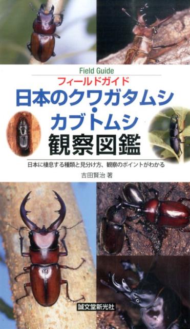 ◆◆◆おおむね良好な状態です。中古商品のため使用感等ある場合がございますが、品質には十分注意して発送いたします。 【毎日発送】 商品状態 著者名 吉田賢治 出版社名 誠文堂新光社 発売日 2015年06月 ISBN 9784416715406