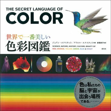 ◆◆◆カバーに傷み、汚れがあります。中古ですので多少の使用感がありますが、品質には十分に注意して販売しております。迅速・丁寧な発送を心がけております。【毎日発送】 商品状態 著者名 ジョアン・エクスタット、アリエル・エクスタット 出版社名 ...
