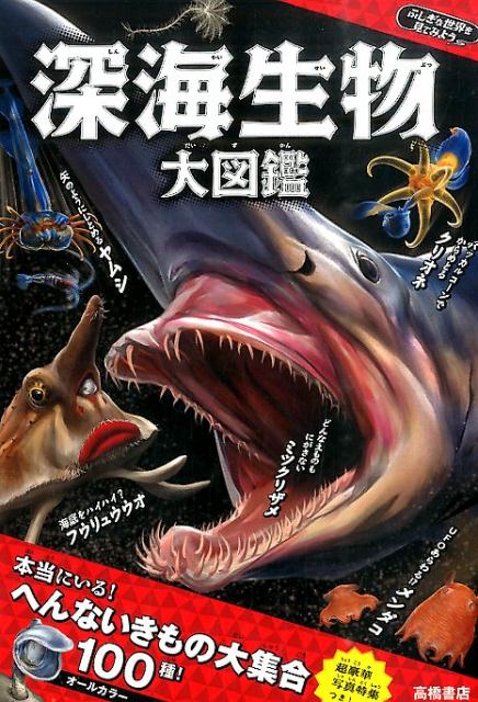 ◆◆◆歪みがあります。カバーに傷みがあります。中古ですので多少の使用感がありますが、品質には十分に注意して販売しております。迅速・丁寧な発送を心がけております。【毎日発送】 商品状態 著者名 てらにしあきら、藤原義弘 出版社名 高橋書店 発...
