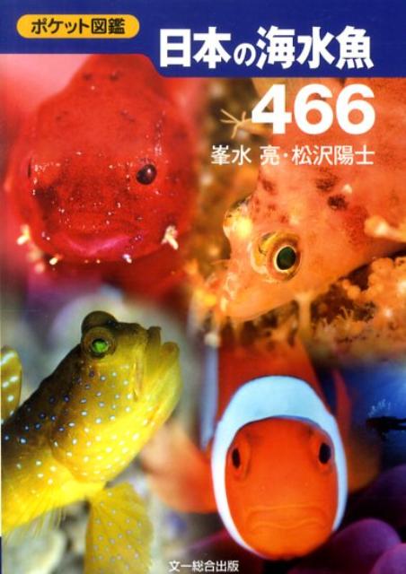 ◆◆◆小口に汚れ、傷みがあります。中古ですので多少の使用感がありますが、品質には十分に注意して販売しております。迅速・丁寧な発送を心がけております。【毎日発送】 商品状態 著者名 峯水亮、松沢陽士 出版社名 文一総合出版 発売日 2010年...