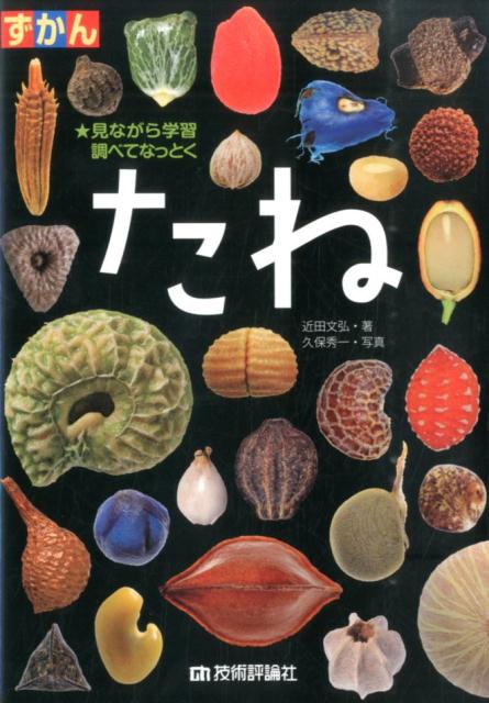 ◆◆◆非常にきれいな状態です。中古商品のため使用感等ある場合がございますが、品質には十分注意して発送いたします。 【毎日発送】 商品状態 著者名 近田文弘、久保秀一 出版社名 技術評論社 発売日 2014年08月 ISBN 97847741...