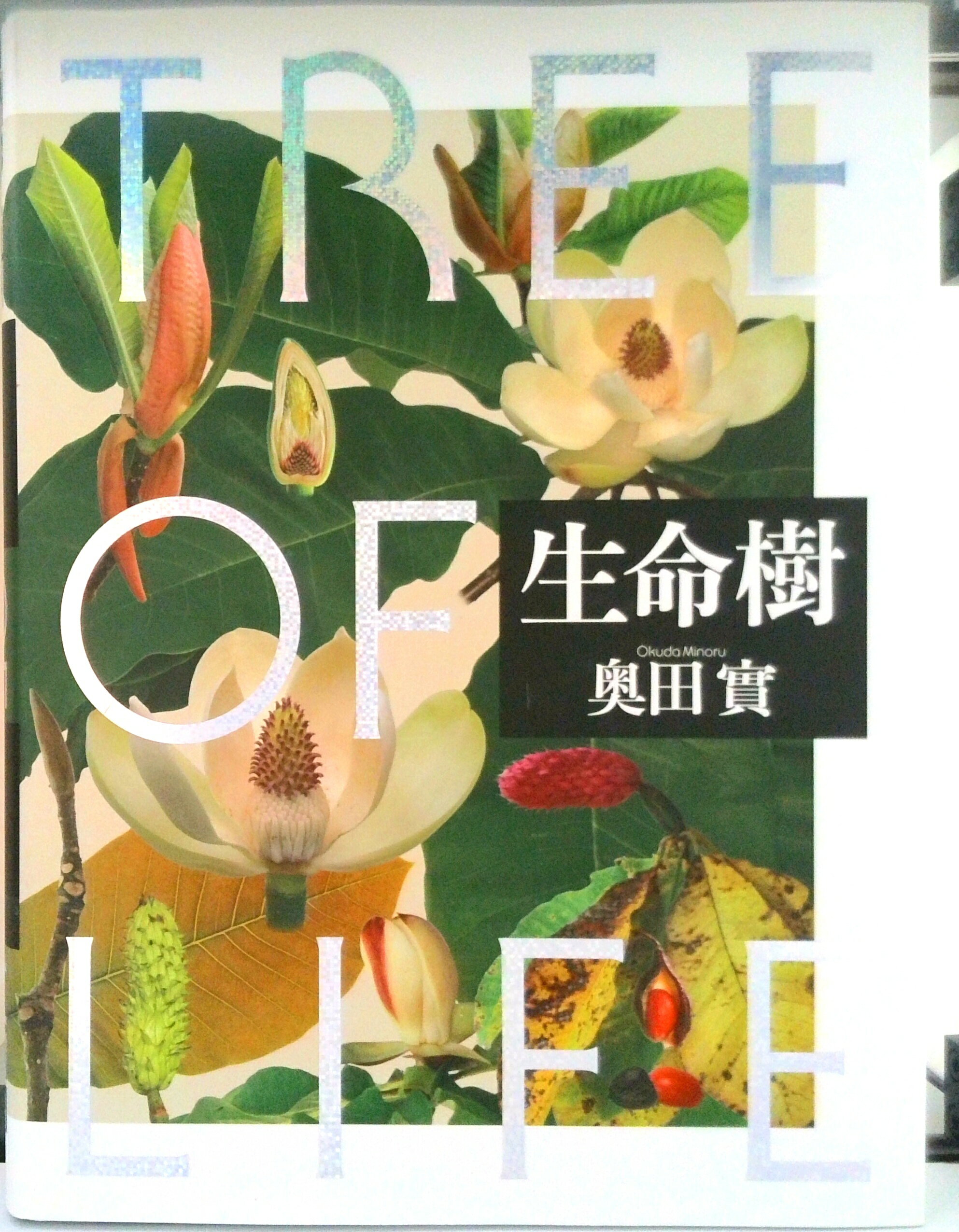 ◆◆◆非常にきれいな状態です。中古商品のため使用感等ある場合がございますが、品質には十分注意して発送いたします。 【毎日発送】 商品状態 著者名 奥田実 出版社名 新樹社（千代田区） 発売日 2010年10月 ISBN 9784787586070