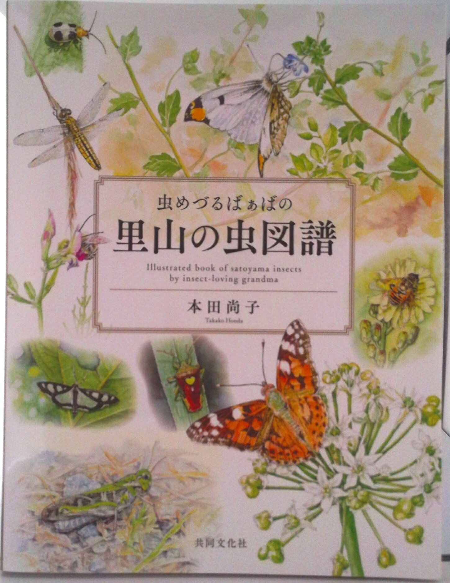 ◆◆◆非常にきれいな状態です。中古商品のため使用感等ある場合がございますが、品質には十分注意して発送いたします。 【毎日発送】 商品状態 著者名 本田尚子 出版社名 共同文化社 発売日 2024年03月14日 ISBN 9784877393977
