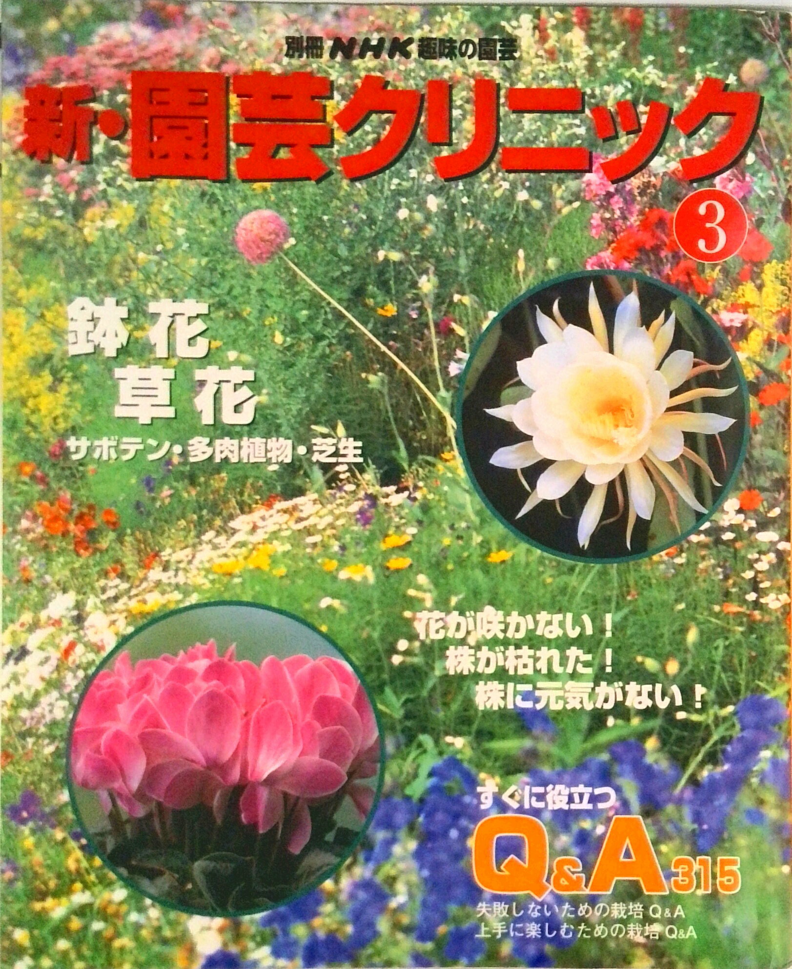 ◆◆◆おおむね良好な状態です。中古商品のため使用感等ある場合がございますが、品質には十分注意して発送いたします。 【毎日発送】 商品状態 著者名 出版社名 NHK出版 発売日 1997年10月 ISBN 9784146457416