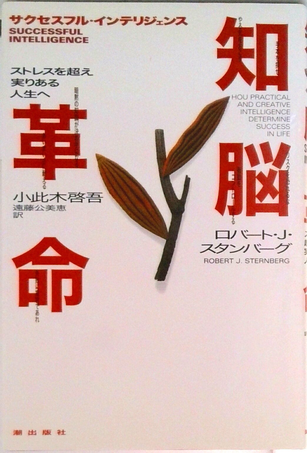 ◆◆◆非常にきれいな状態です。中古商品のため使用感等ある場合がございますが、品質には十分注意して発送いたします。 【毎日発送】 商品状態 著者名 ロバ−ト・J．スタンバ−グ、小此木啓吾 出版社名 潮出版社 発売日 1998年03月25日 I...