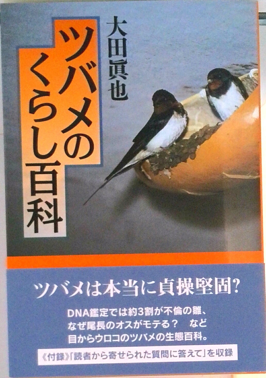 ◆◆◆おおむね良好な状態です。中古商品のため使用感等ある場合がございますが、品質には十分注意して発送いたします。 【毎日発送】 商品状態 著者名 大田眞也 出版社名 弦書房 発売日 2005年03月10日 ISBN 9784902116311