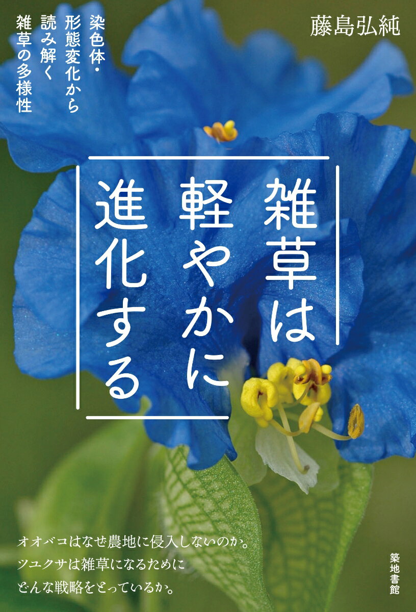 ◆◆◆リサイクル図書になります。除籍印、管理シール等があります。中古ですので多少の使用感がありますが、品質には十分に注意して販売しております。迅速・丁寧な発送を心がけております。【毎日発送】 商品状態 著者名 藤島弘純 出版社名 築地書館 ...