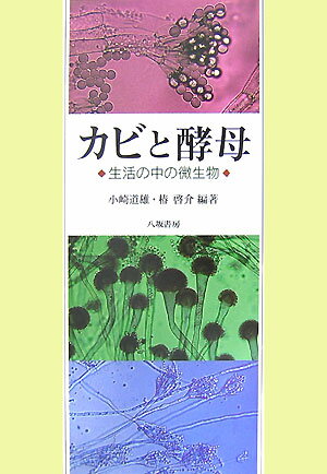 ◆◆◆非常にきれいな状態です。中古商品のため使用感等ある場合がございますが、品質には十分注意して発送いたします。 【毎日発送】 商品状態 著者名 小崎道雄、椿啓介 出版社名 八坂書房 発売日 2007年08月 ISBN 9784896948967