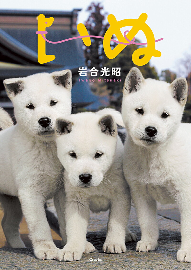 ◆◆◆カバーに汚れがあります。中古ですので多少の使用感がありますが、品質には十分に注意して販売しております。迅速・丁寧な発送を心がけております。【毎日発送】 商品状態 著者名 岩合光昭 出版社名 クレヴィス 発売日 2015年11月 ISB...