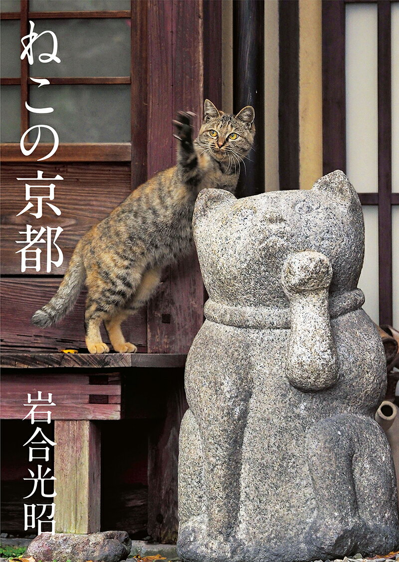 ◆◆◆非常にきれいな状態です。中古商品のため使用感等ある場合がございますが、品質には十分注意して発送いたします。 【毎日発送】 商品状態 著者名 岩合光昭 出版社名 クレヴィス 発売日 2018年03月26日 ISBN 9784904845998