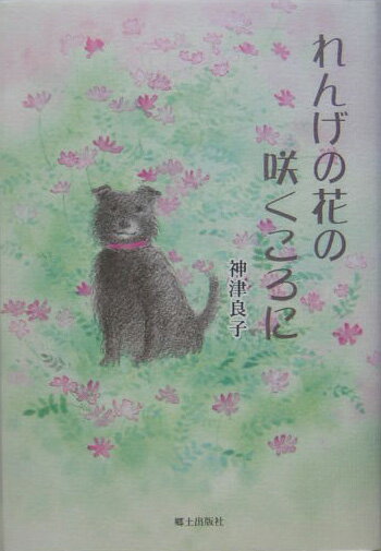 ◆◆◆カバーに日焼け、汚れがあります。中古ですので多少の使用感がありますが、品質には十分に注意して販売しております。迅速・丁寧な発送を心がけております。【毎日発送】 商品状態 著者名 神津良子 出版社名 郷土出版社 発売日 2005年02月...