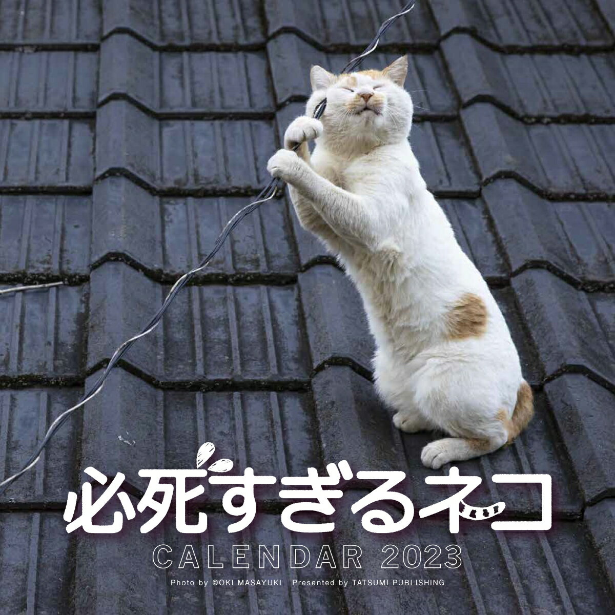 ◆◆◆おおむね良好な状態です。中古商品のため使用感等ある場合がございますが、品質には十分注意して発送いたします。 【毎日発送】 商品状態 著者名 沖昌之 出版社名 辰巳出版 発売日 2022年09月07日 ISBN 9784777829125