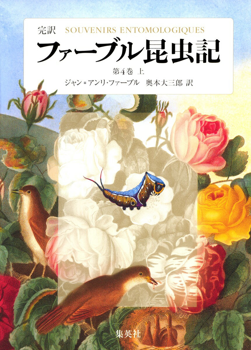 ◆◆◆非常にきれいな状態です。中古商品のため使用感等ある場合がございますが、品質には十分注意して発送いたします。 【毎日発送】 商品状態 著者名 ジャン・アンリ・ファ−ブル、奥本大三郎 出版社名 集英社 発売日 2006年12月20日 IS...